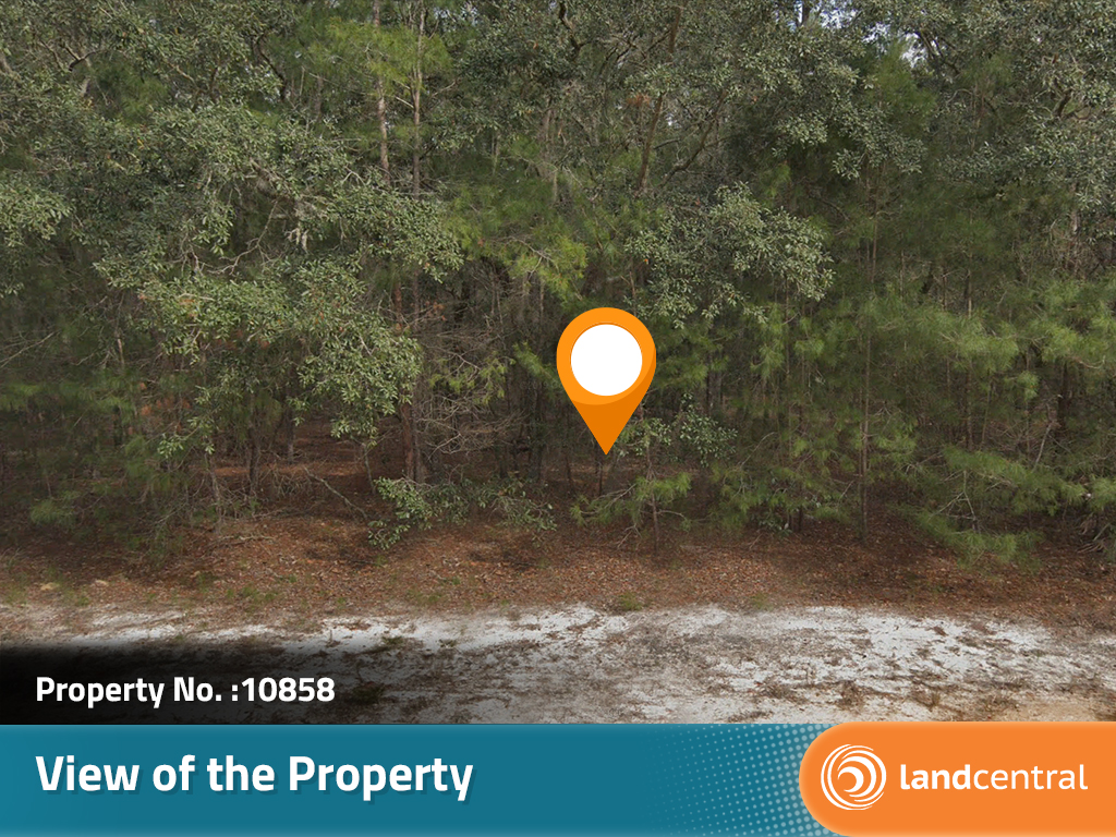 Rare Three Lot Florahome Florida Property8
